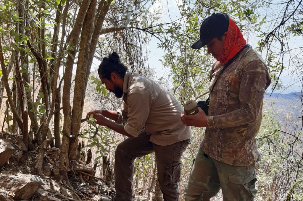 TV4 Noticias Guanajuato | Reconocen a guardabosques de Sierra de los ...